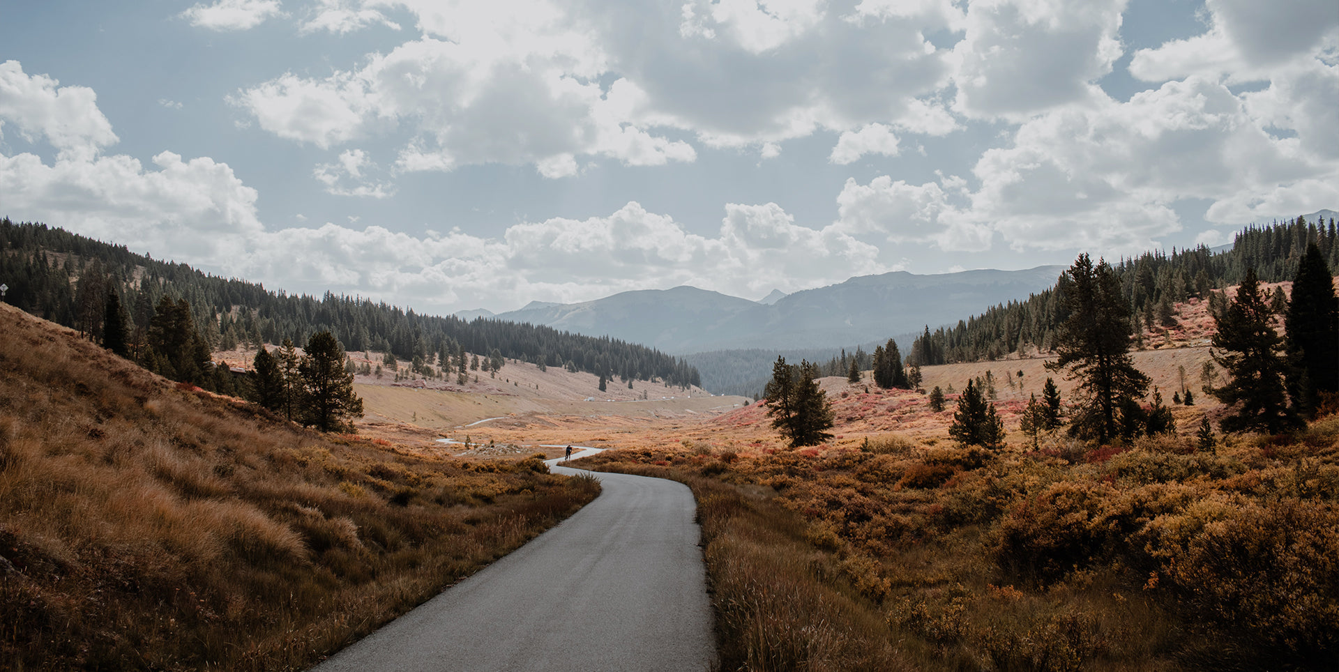 Black Tie – Rye 51